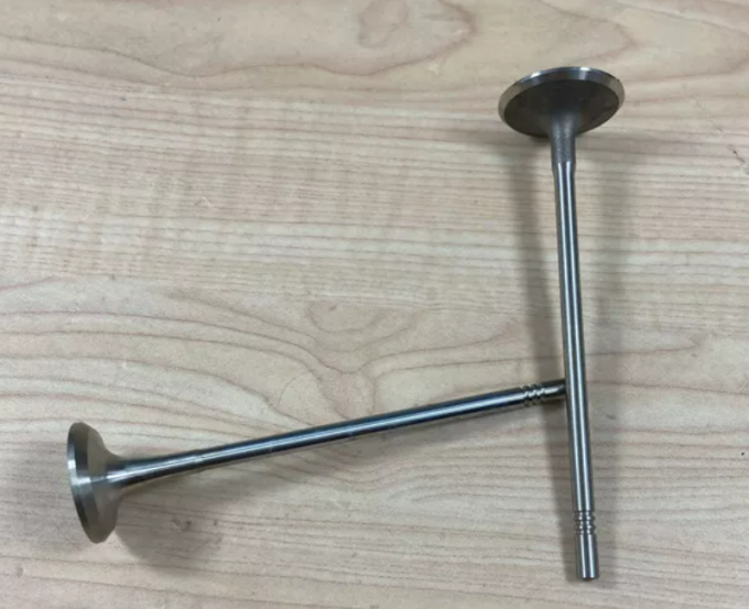 F16D3 F16D4 Engine Valve Parts 55557862 55558728 Chevrolet Cruze 1.6 Model