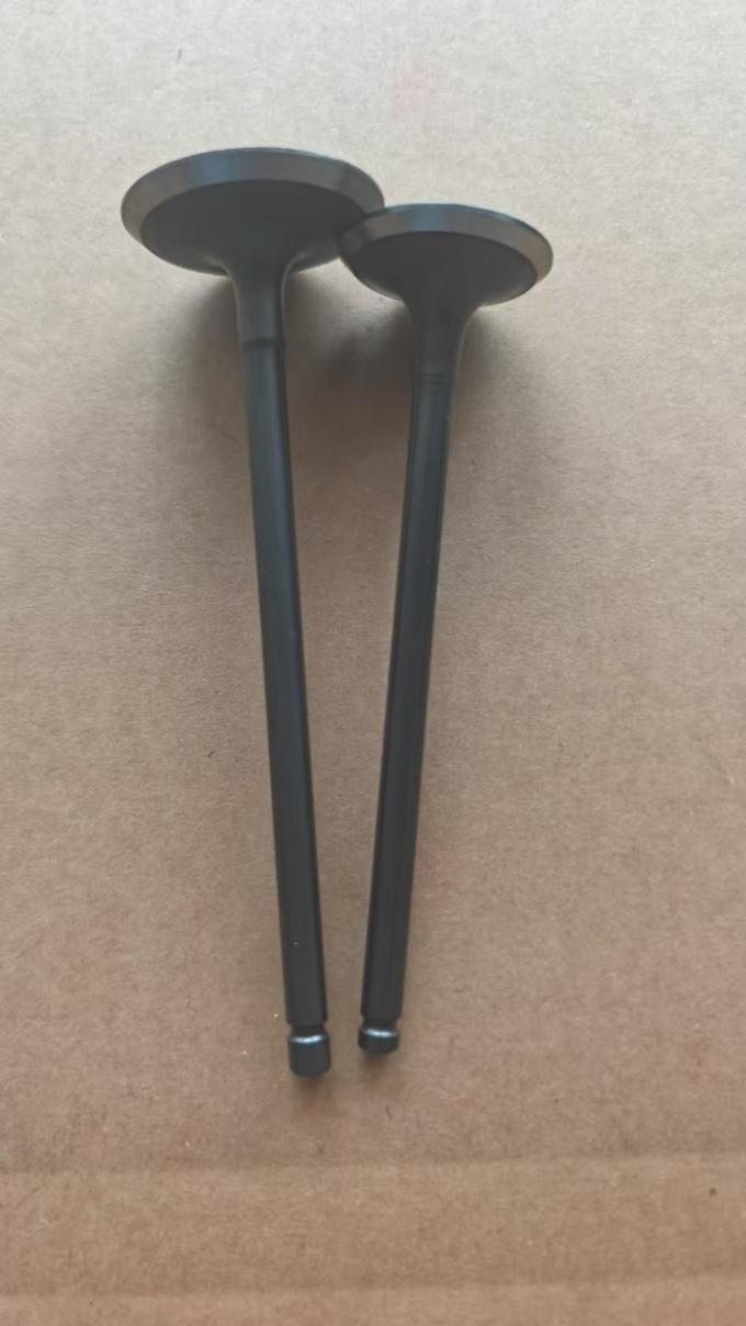 22211-2G000 22212-2G000 Engine Valve For Hyundai G4KD